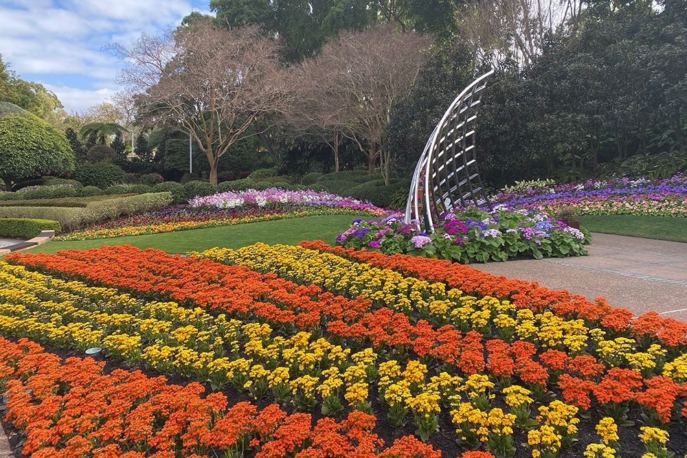 10 Great Botanic Gardens In Seq Must Do Brisbane 10 Great Botanic Gardens In Seq Must Do Brisbane